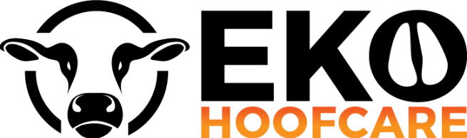Training - Eko Hoofcare
