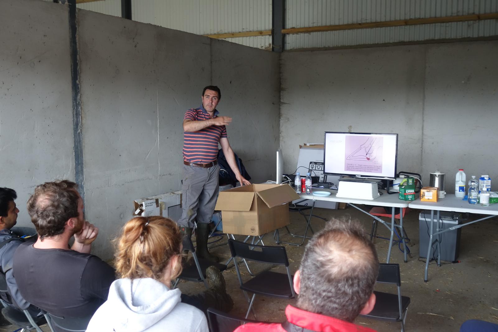 Training - Eko Hoofcare