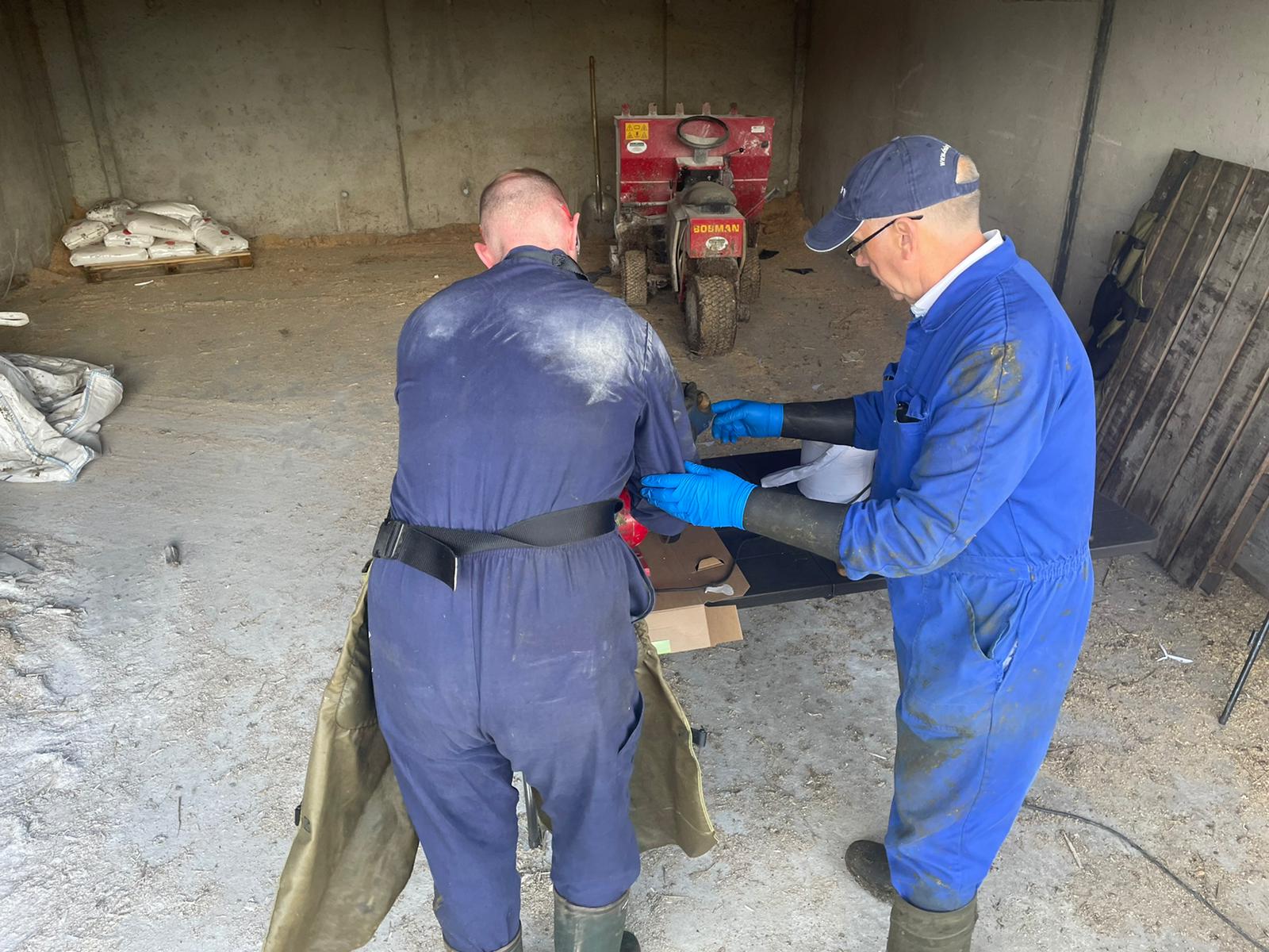 Training - Eko Hoofcare