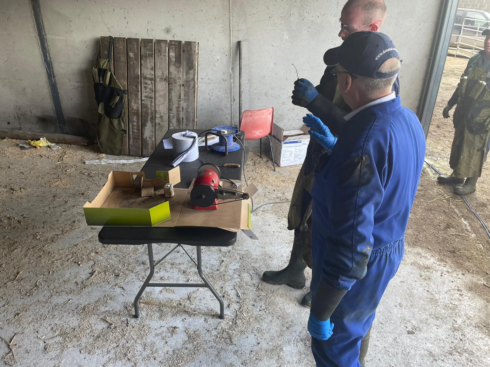 Training - Eko Hoofcare