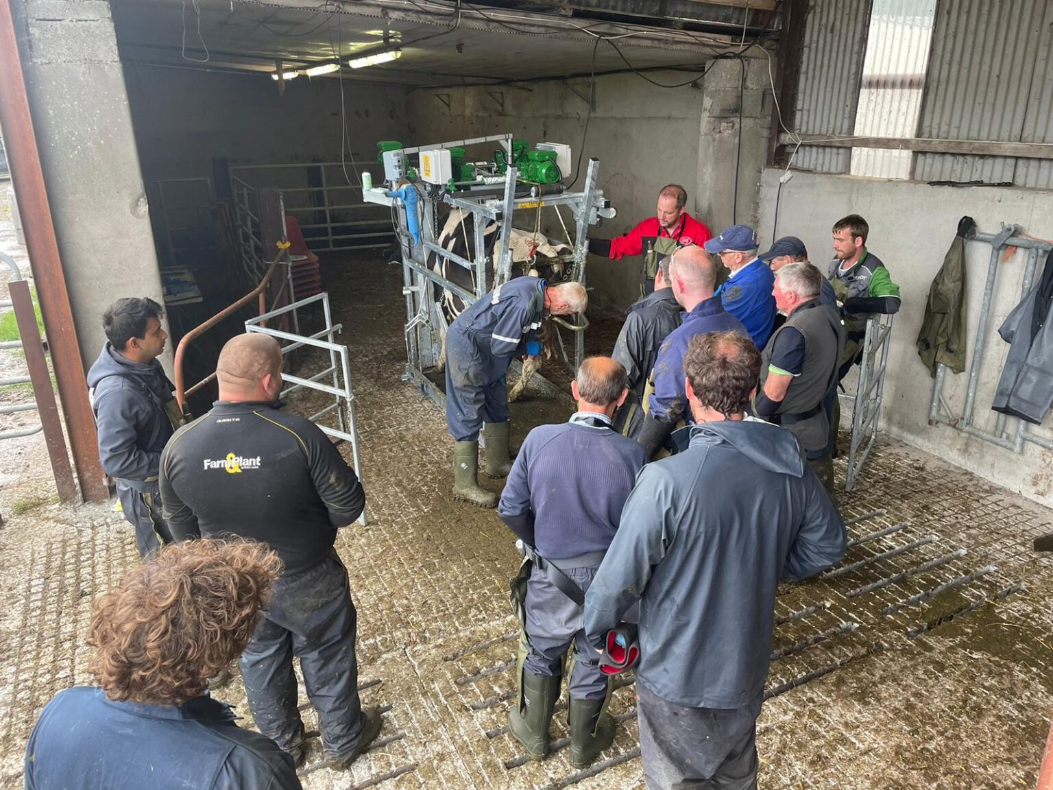 Training - Eko Hoofcare